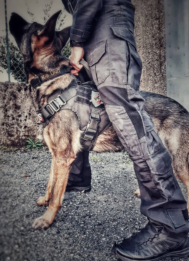 Cinofilo per un giorno - HS-Security Italia